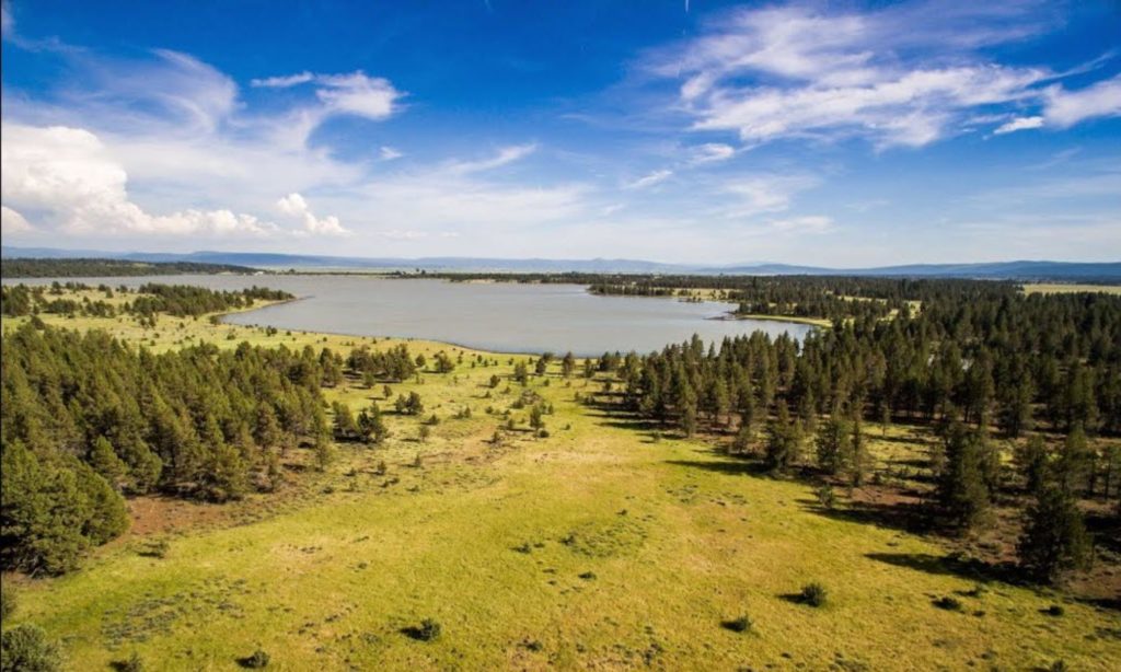 Northeastern California Bull - Modoc Waterfowl Outfitters